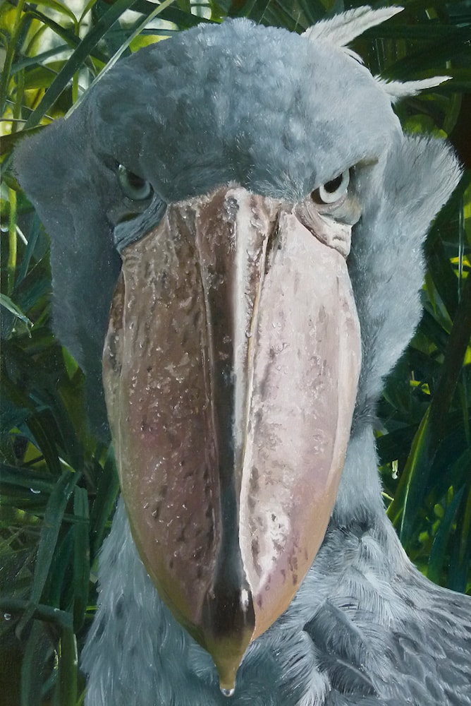 ARC / Abu Markub by Esther Huser