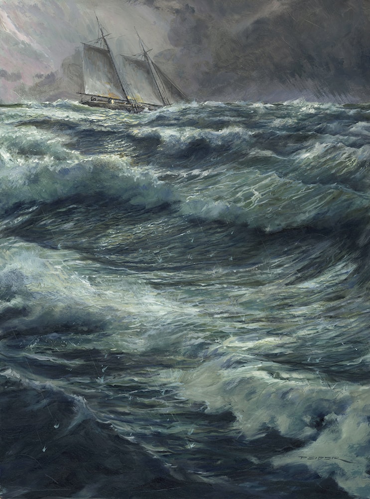 ARC / The Squall by Doug Zider