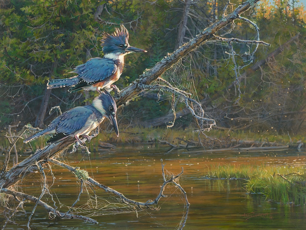 ARC / Webmasters by Kim Diment