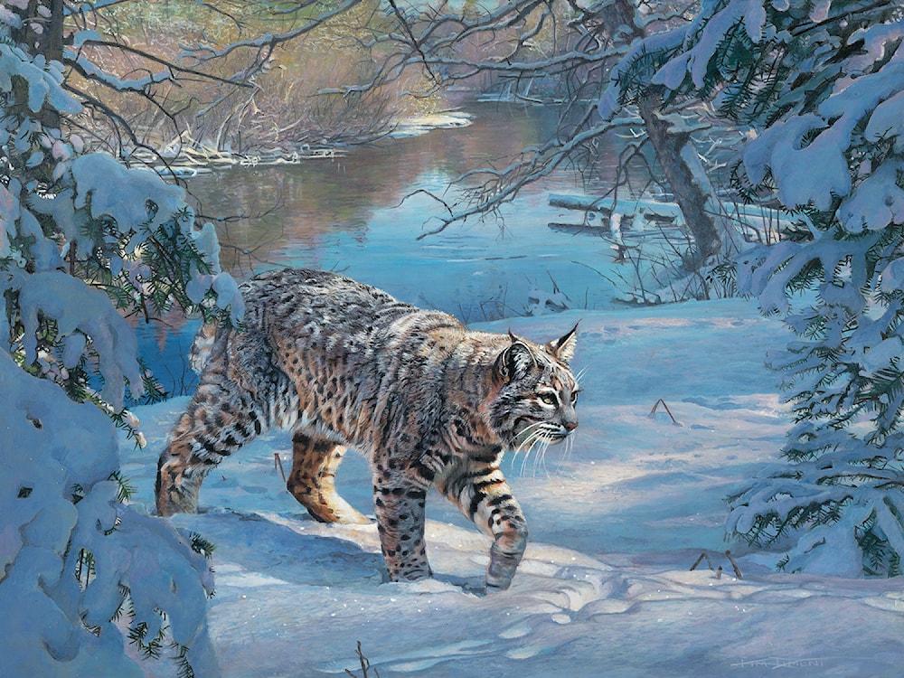 ARC / River Patrol by Kim Diment