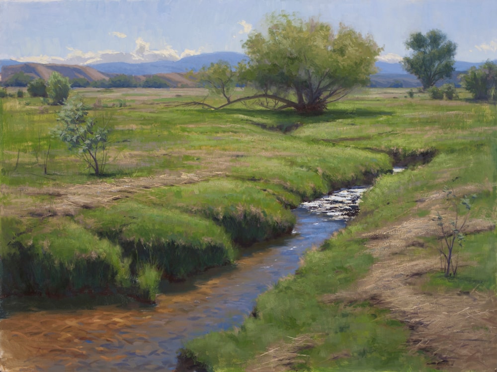 ARC / The Field Of Choice by Chris Manwaring