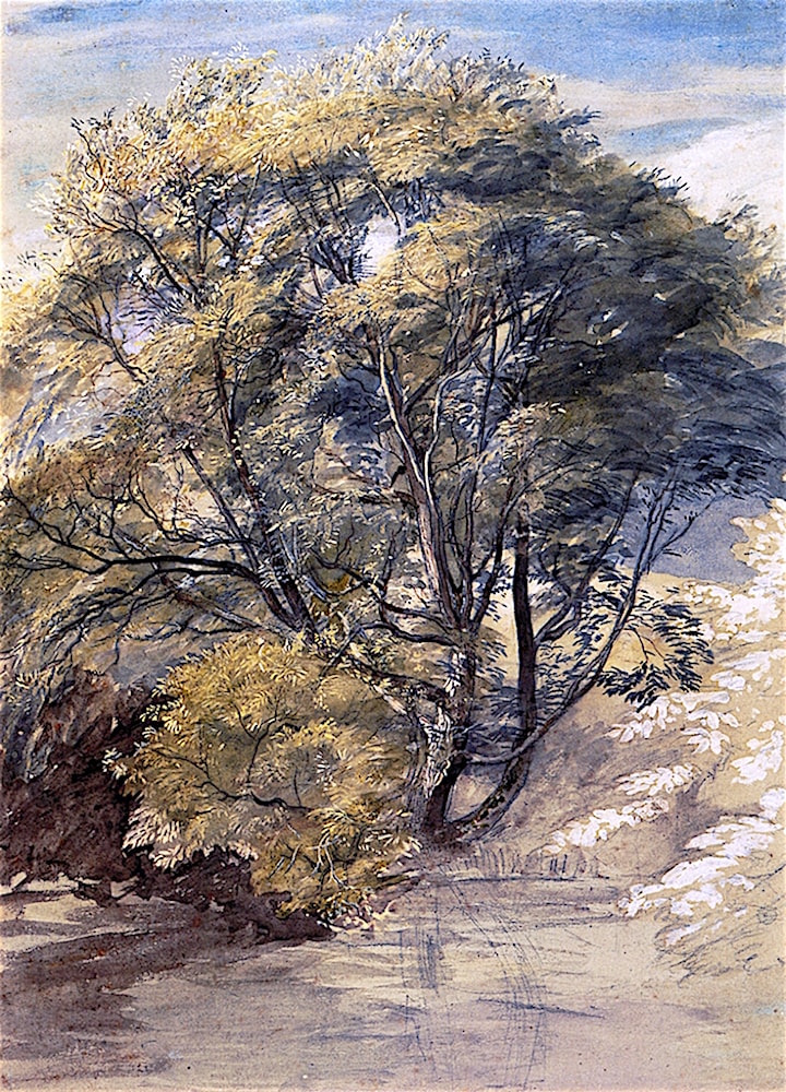 The Willow by Samuel Palmer - Art Renewal Center