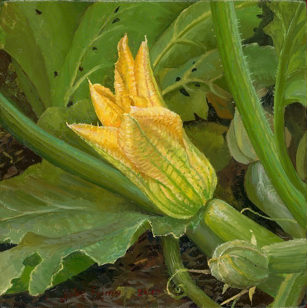 Courgette Flower Bud by Joke Frima - Art Renewal Center