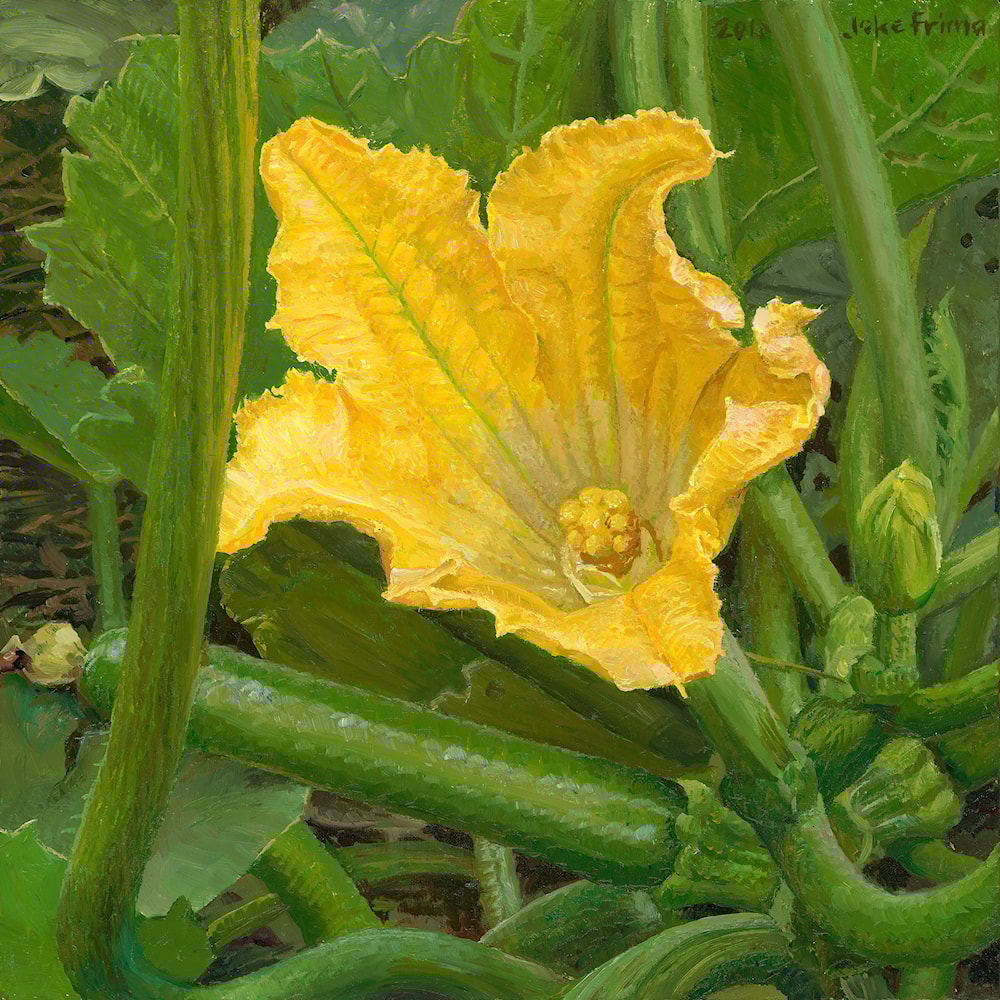 Courgette Flower by Joke Frima - Art Renewal Center