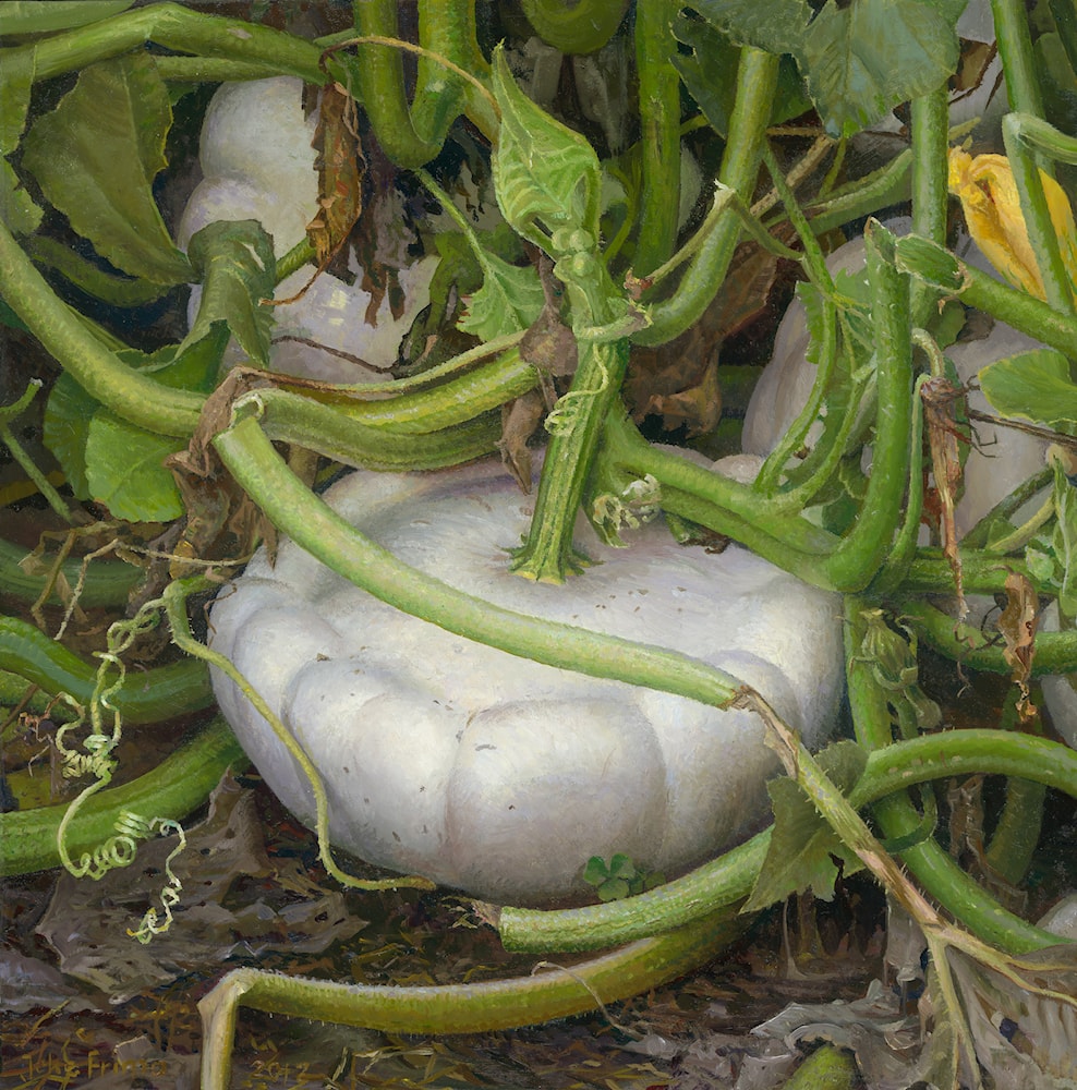 Patisson On The Plant by Joke Frima - Art Renewal Center