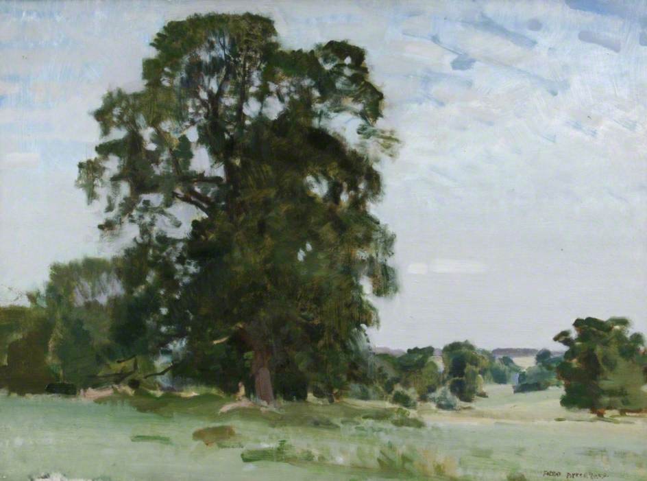 Avington Park, Looking North towards Itchen Down by Fred Appleyard ...