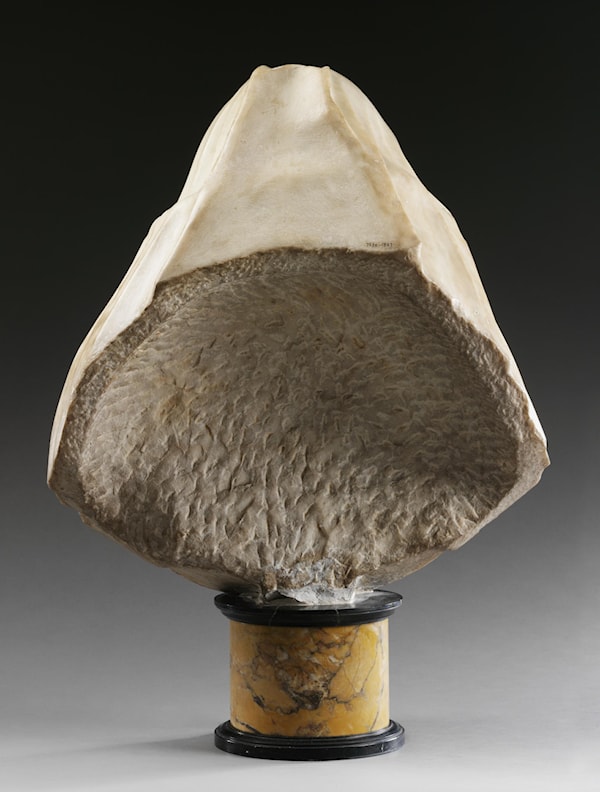 A Widowed Lady by Giuliano Finelli - 4 images - Art Renewal Center