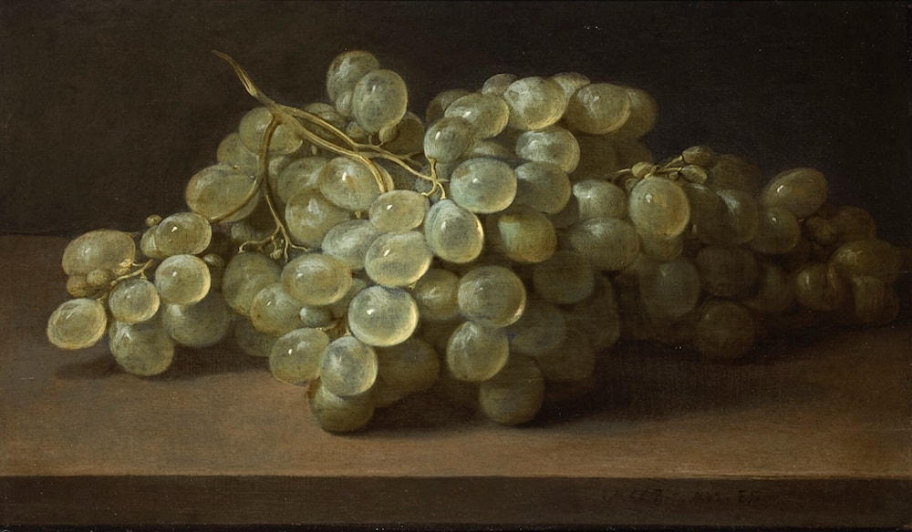 Still life of a bunch of white grapes on a ledge by Jacob Fopsen van Es ...