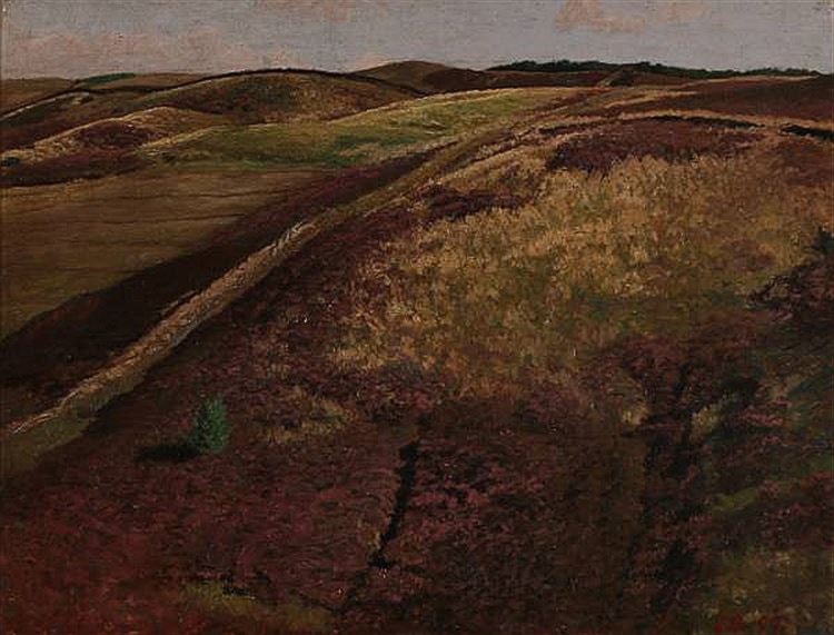 A Hilly Moor, Svannige Bakker by Jens Birkholm - Art Renewal Center