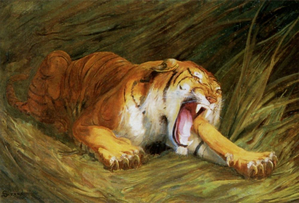Tigre by Gustave Surand - Art Renewal Center