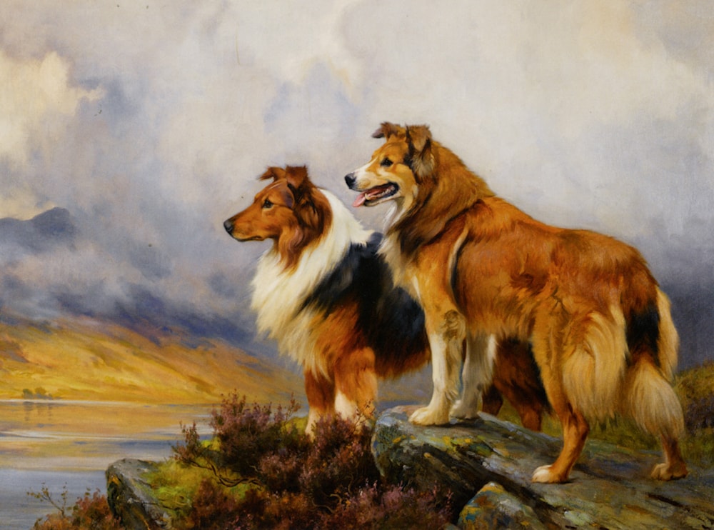 Two Collies Above a Lake by Wright Barker - Art Renewal Center